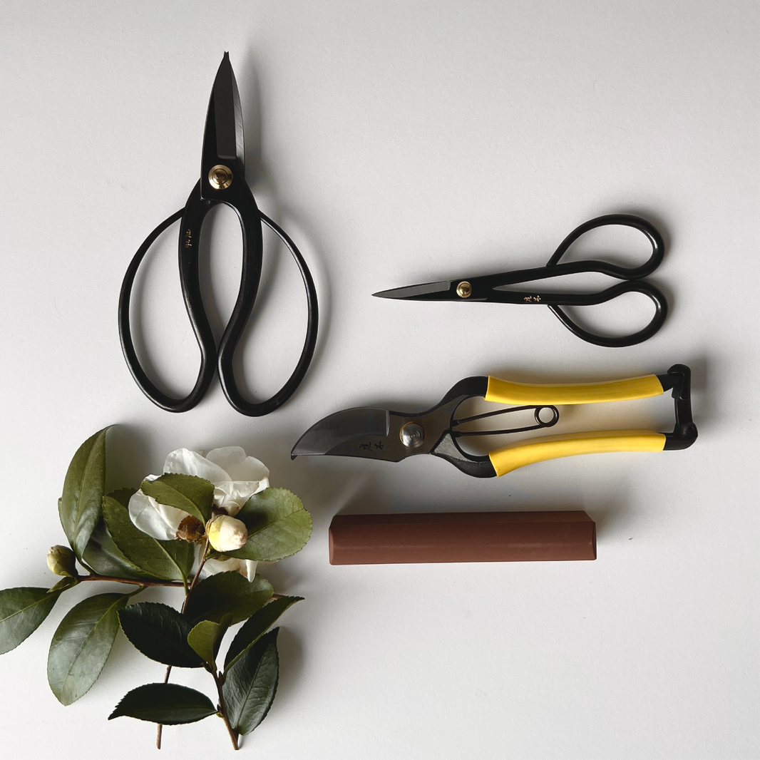 GARDEN – Elizabeth Stuart