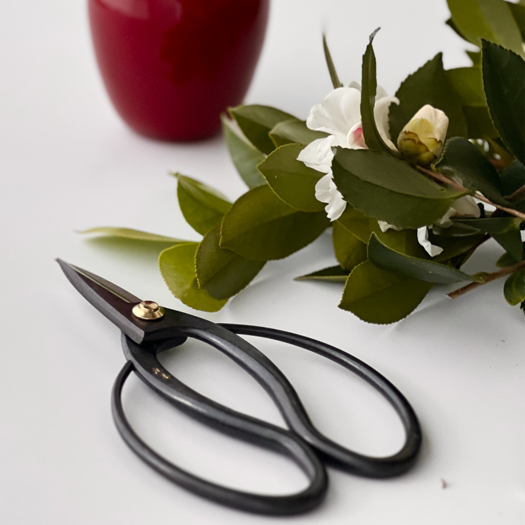 GARDEN – Elizabeth Stuart